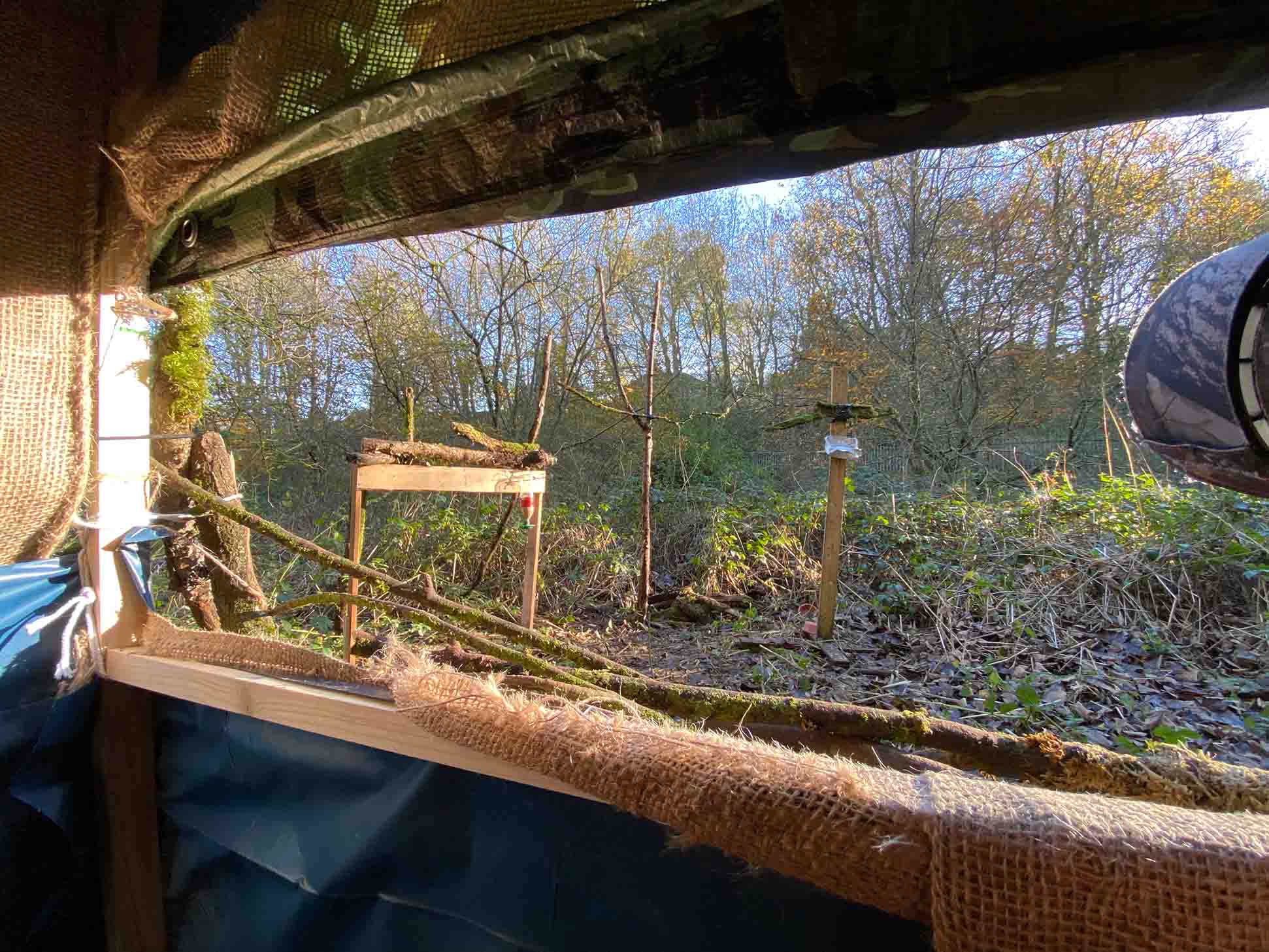 Wildlife Photography Hide - Update Nov 2022